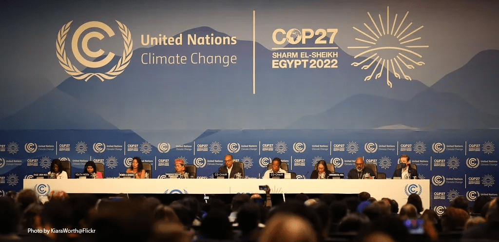 COP27 Highlights – by Juna Margariti - Livery Climate Action Group